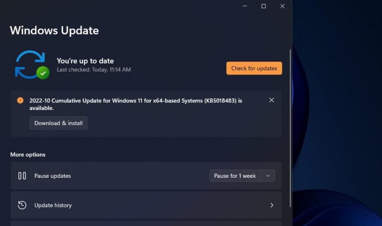 Windows 11/10에서 “D3D11 호환 GPU” 오류를 해결하는 방법 – All Things N